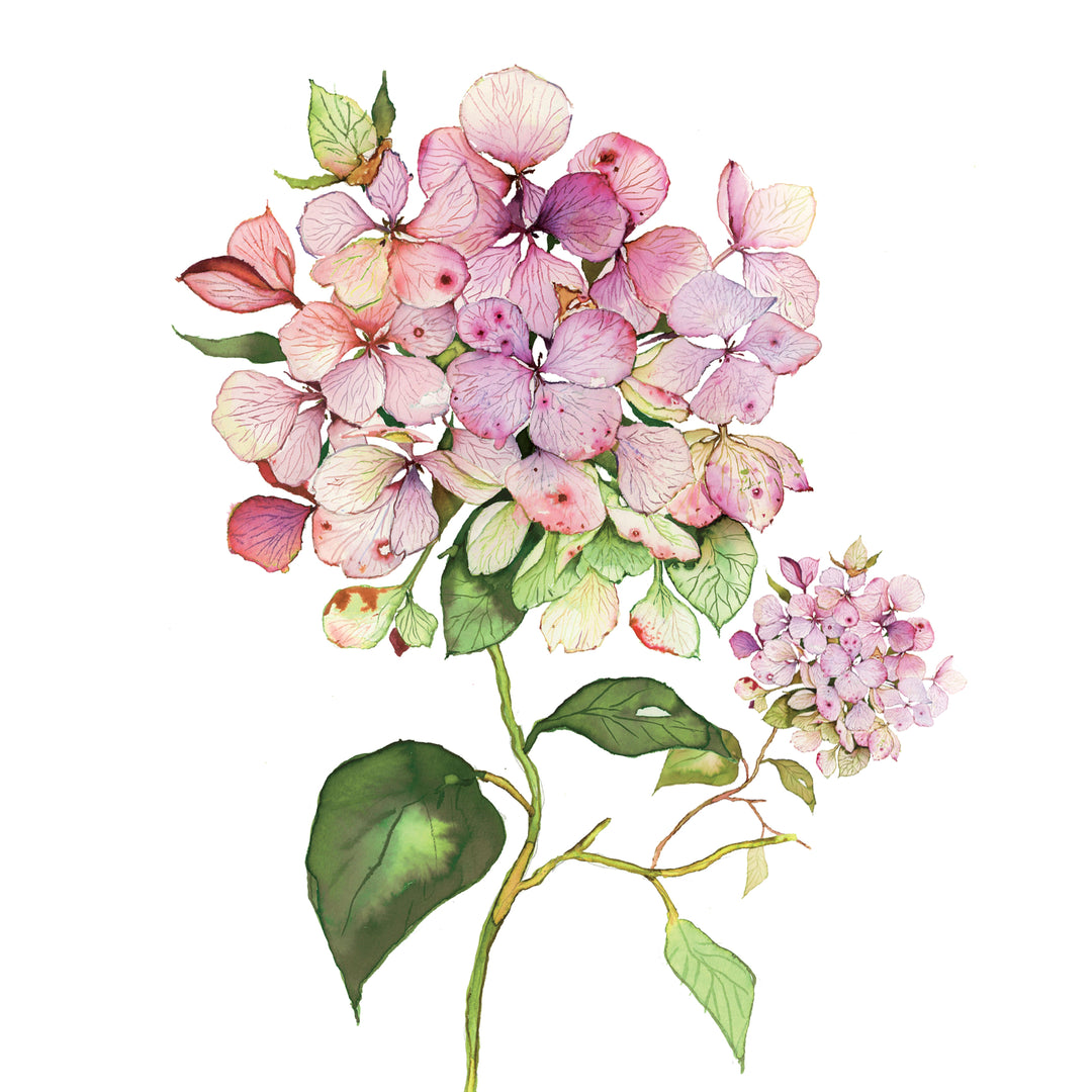 Summer Thornton Prints and Luxury Homewares – Summer Thornton