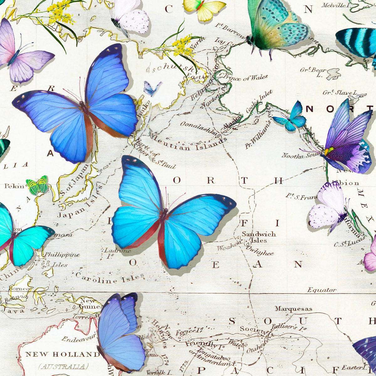 Butterfly Map - Limited Edition – Summer Thornton